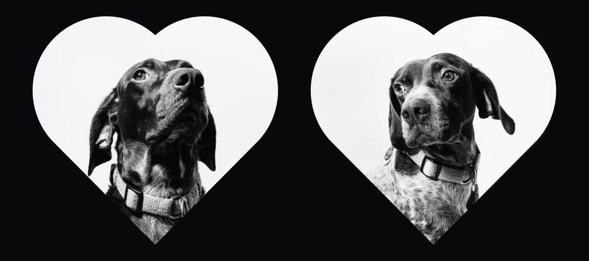 Cryptee | Encrypted Secure Photo Storage & Encrypted Documents Editor