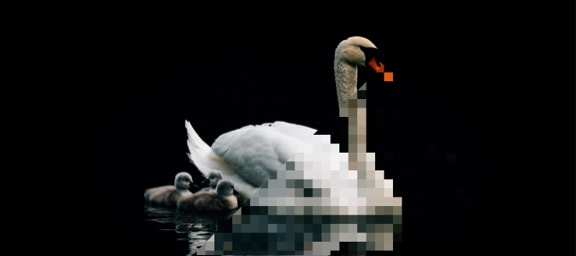 Cryptee | Encrypted Secure Photo Storage & Encrypted Documents Editor